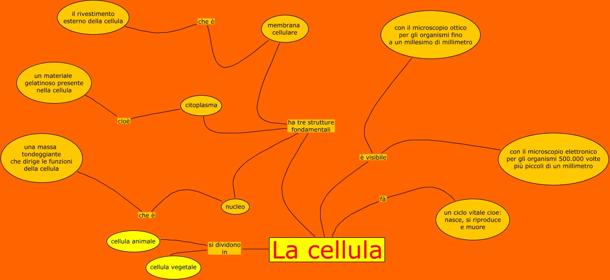 la cellula - Mappa Concettuale